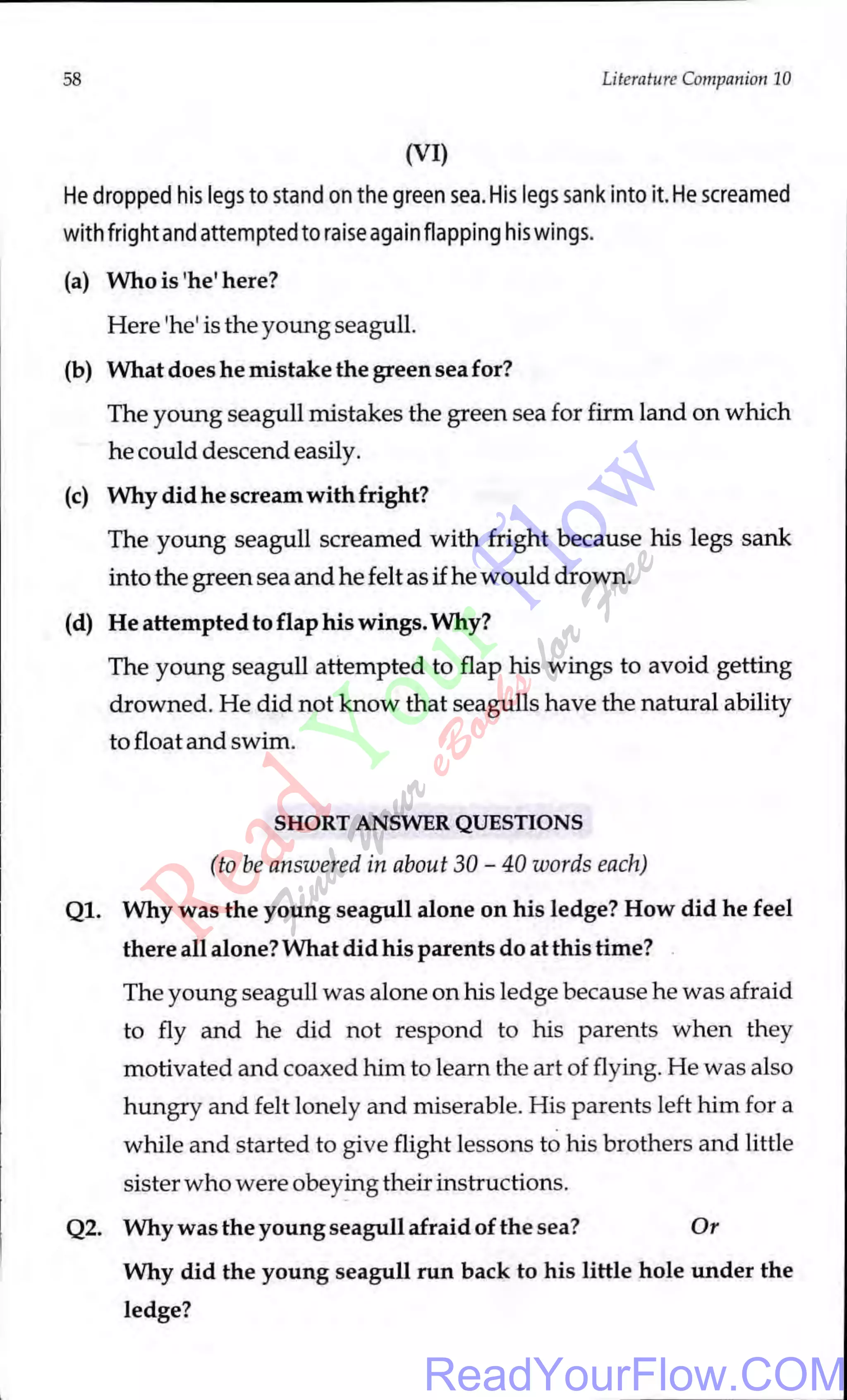 Literature Companion FIRST FLIGHT Class 10 | PDF