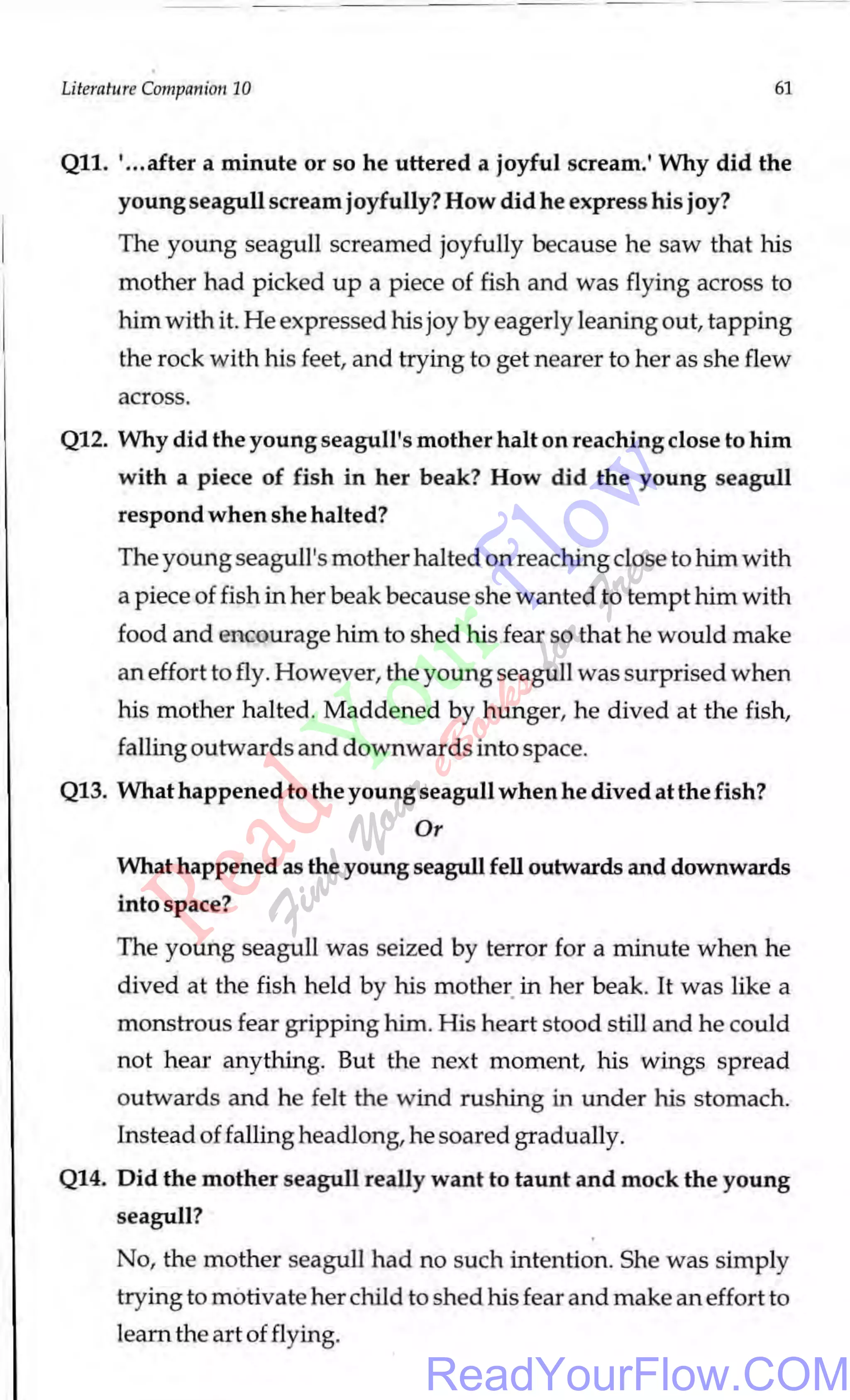 Literature Companion FIRST FLIGHT Class 10 | PDF