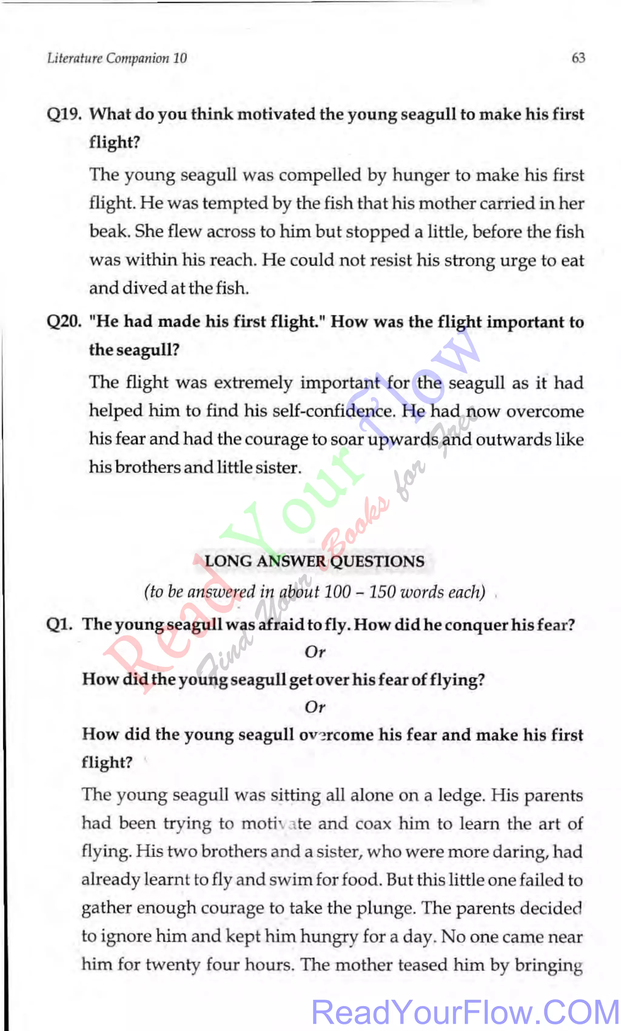 Literature Companion FIRST FLIGHT Class 10 | PDF