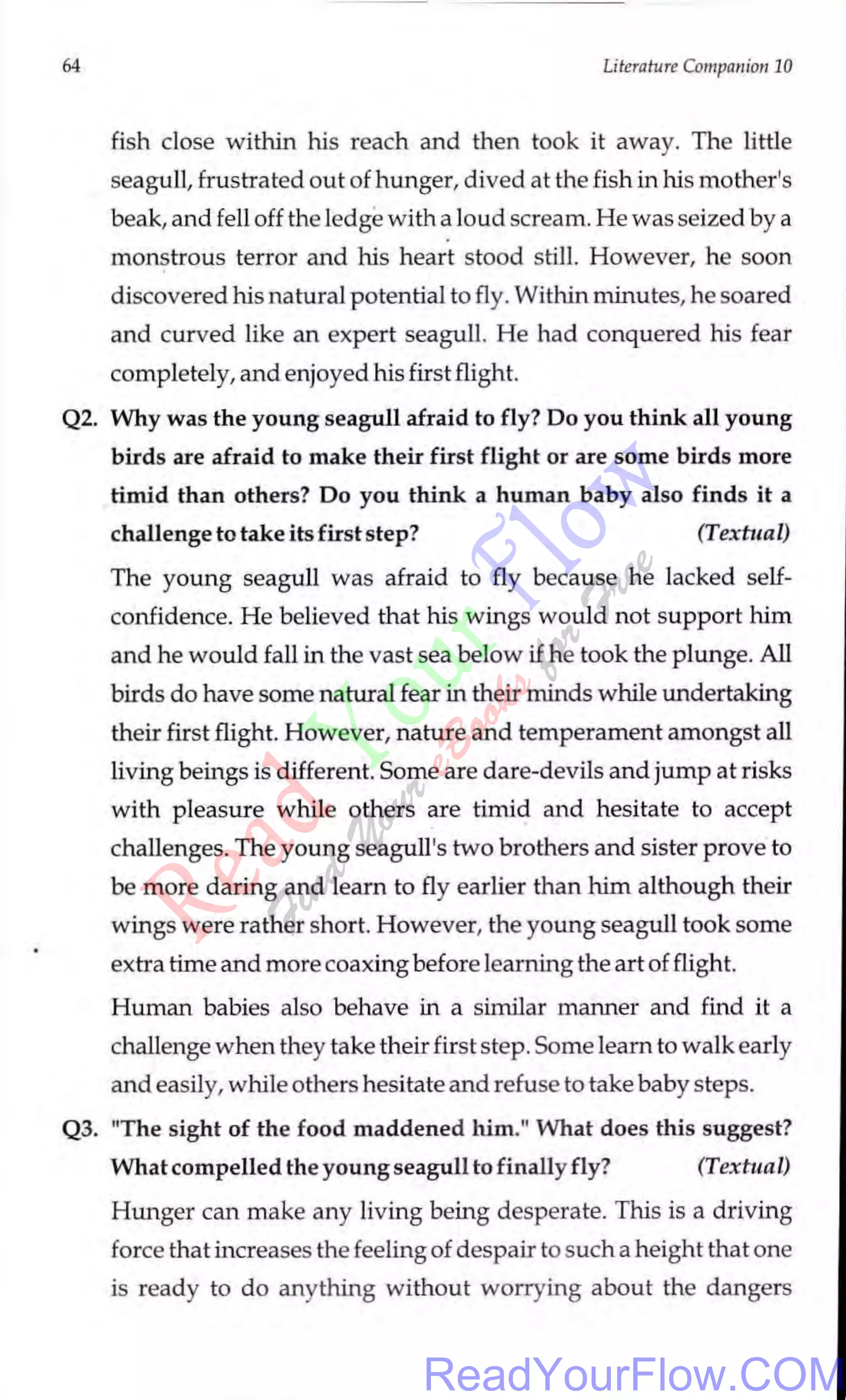 Literature Companion FIRST FLIGHT Class 10 | PDF