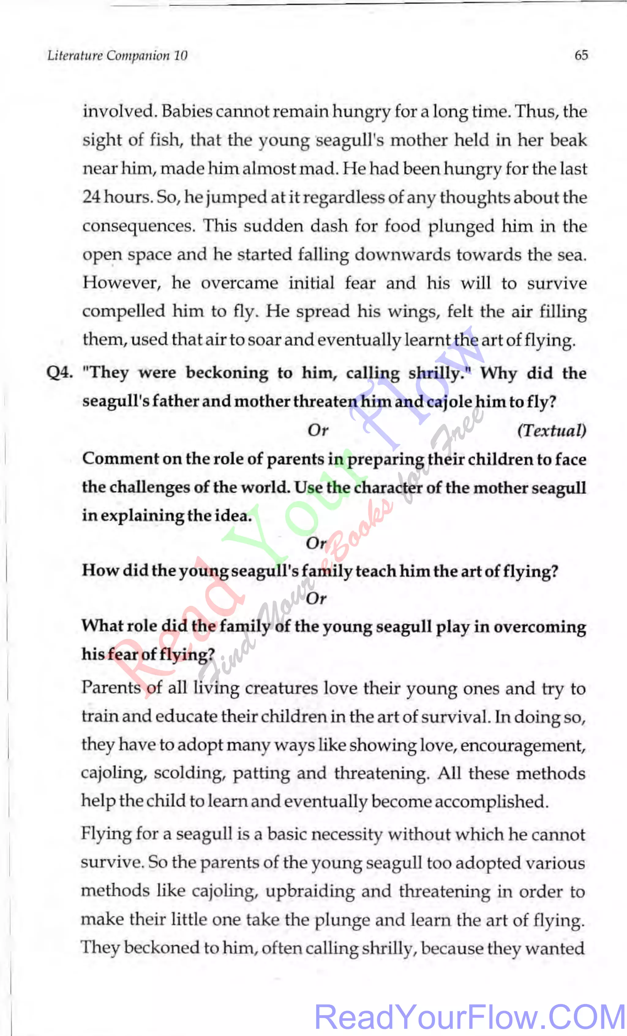Literature Companion FIRST FLIGHT Class 10 | PDF
