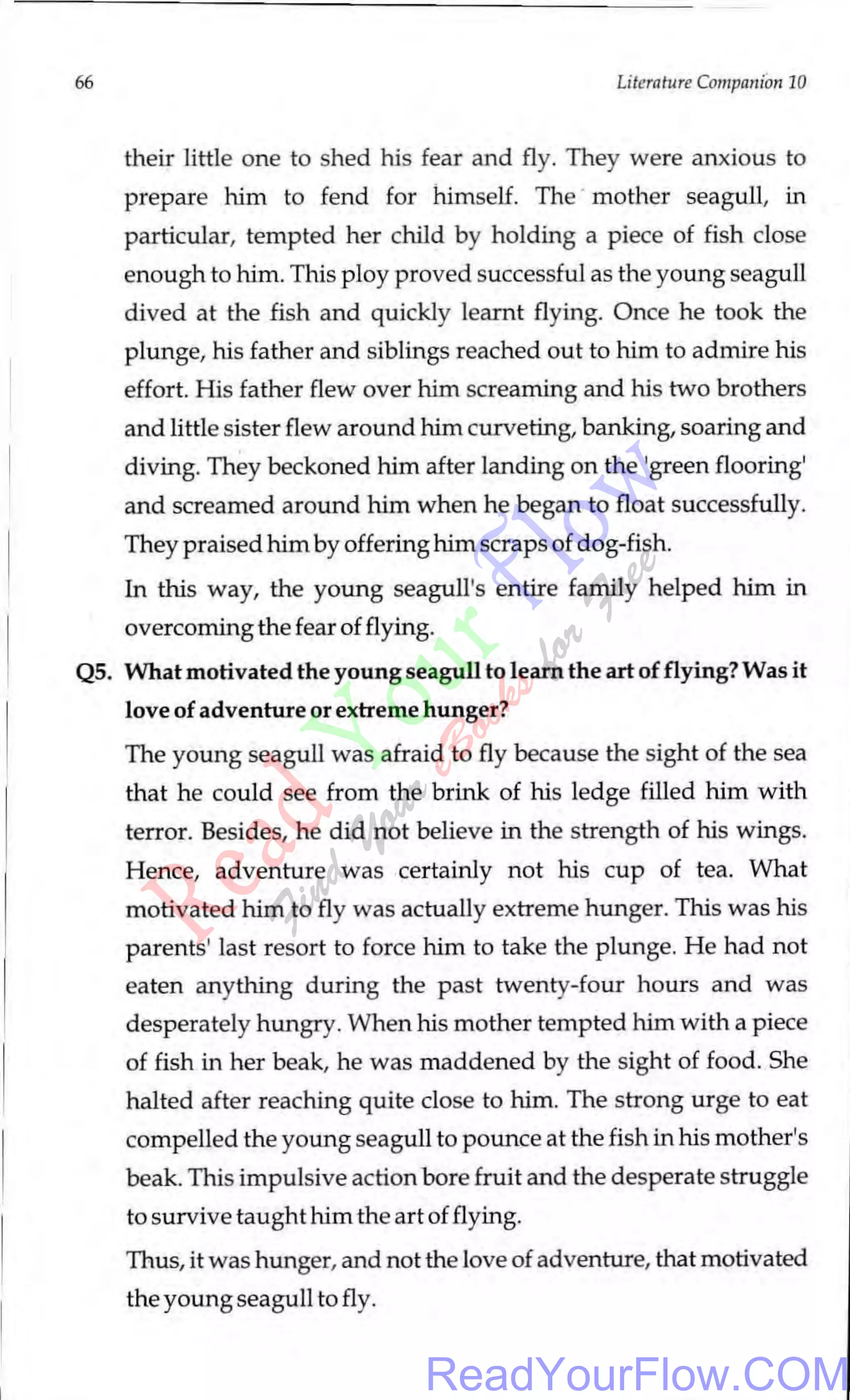 Literature Companion FIRST FLIGHT Class 10 | PDF