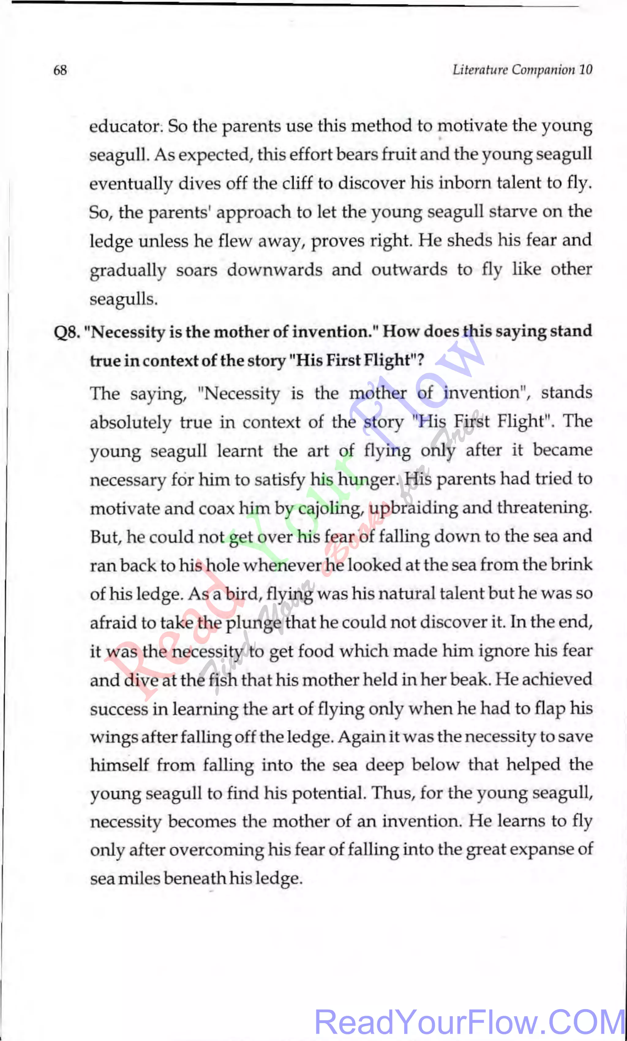 Literature Companion FIRST FLIGHT Class 10 | PDF