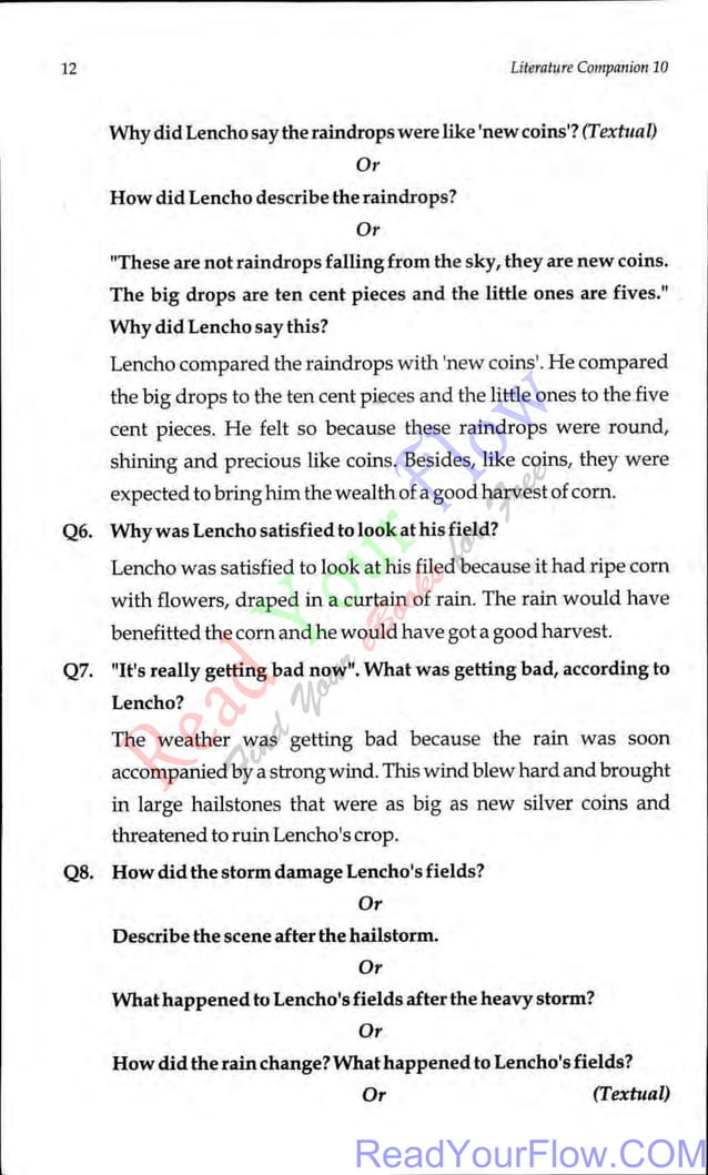 Literature Companion FIRST FLIGHT Class 10 | PDF | Air Travel | Travel Type