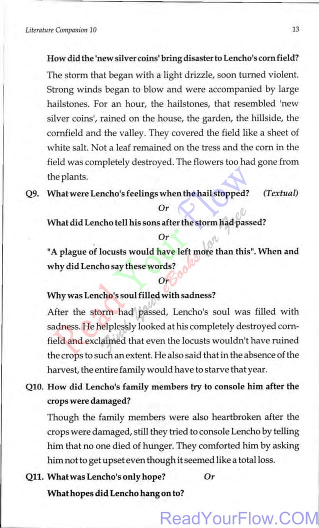 Literature Companion FIRST FLIGHT Class 10 | PDF | Air Travel | Travel Type