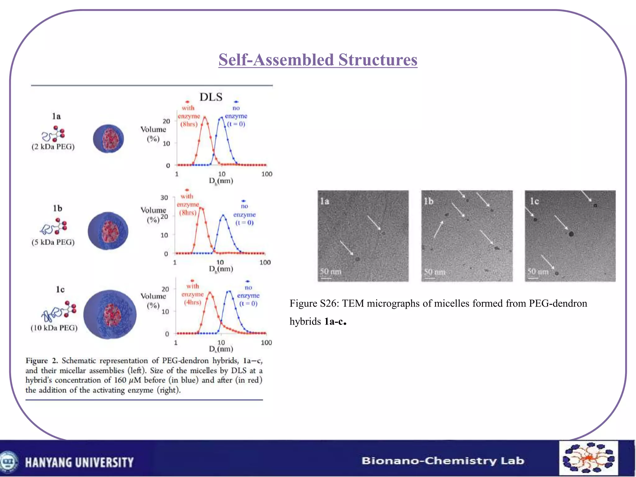 Enzyme responsive amphiphiles | PPTX