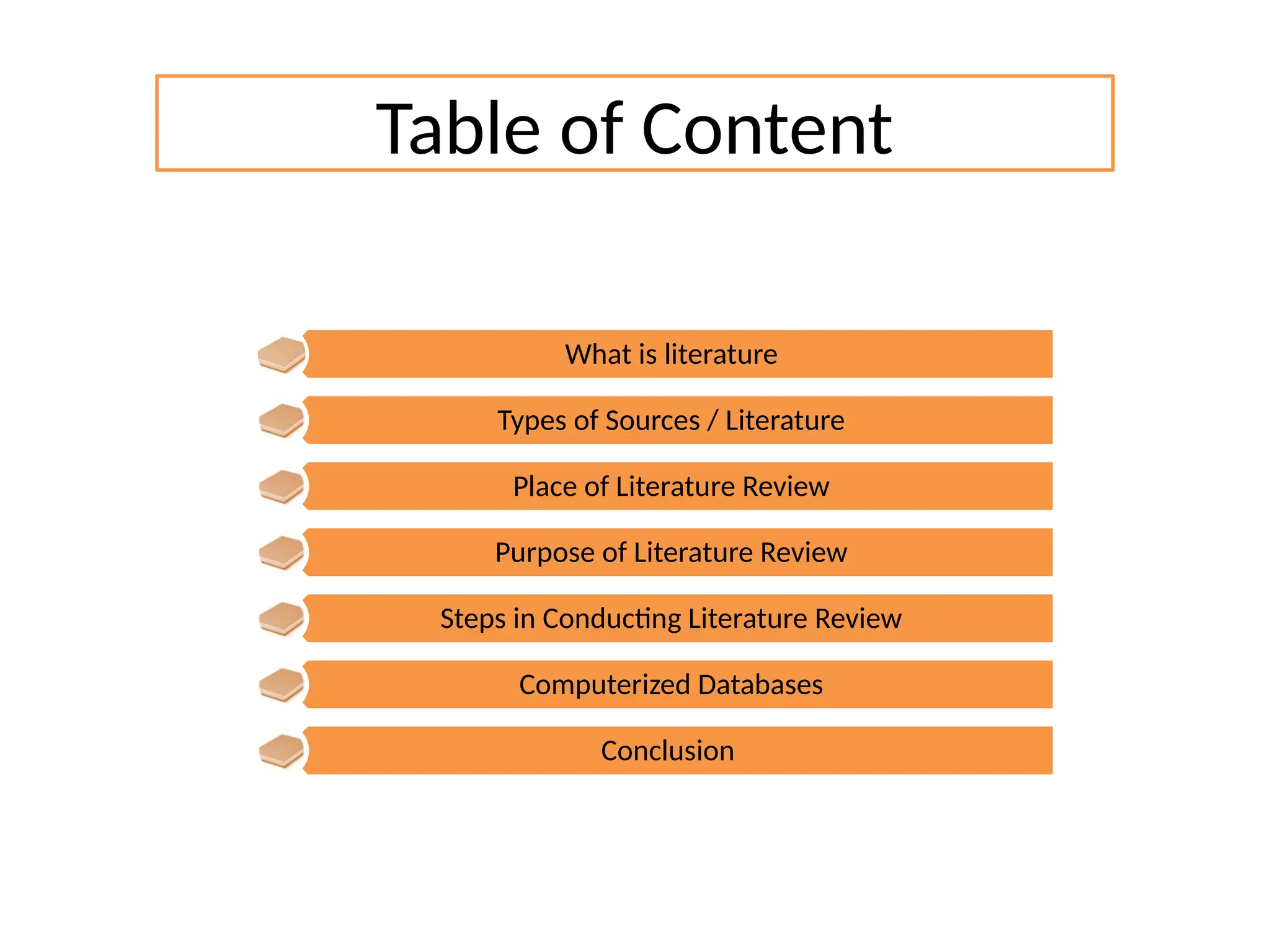 literature_review Important._ppt[1].pptx