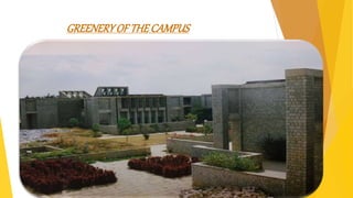 Literature study of basic design ii | PPTX