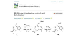 Literature Survey.pptx