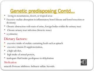 LITHESIS Presentation: Definition, causes and locations | PPTX