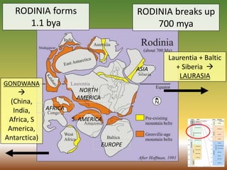 Lithosphere 3 NC Geology Notes | PPTX | Geography | Science