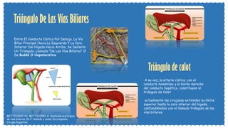 Cilelitiasis vesicular, colesistitis agudo | PDF