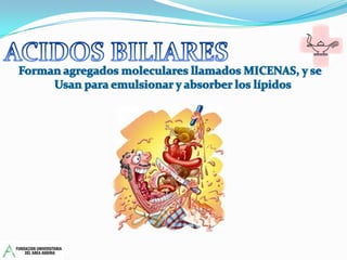 Litiasis biliar | PPTX