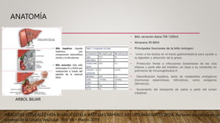 Litiasis Vesicular.pptx