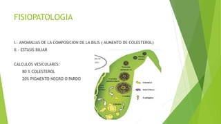 LITIASIS VESICULAR concepto, diagnostico, tratamiento .pptx