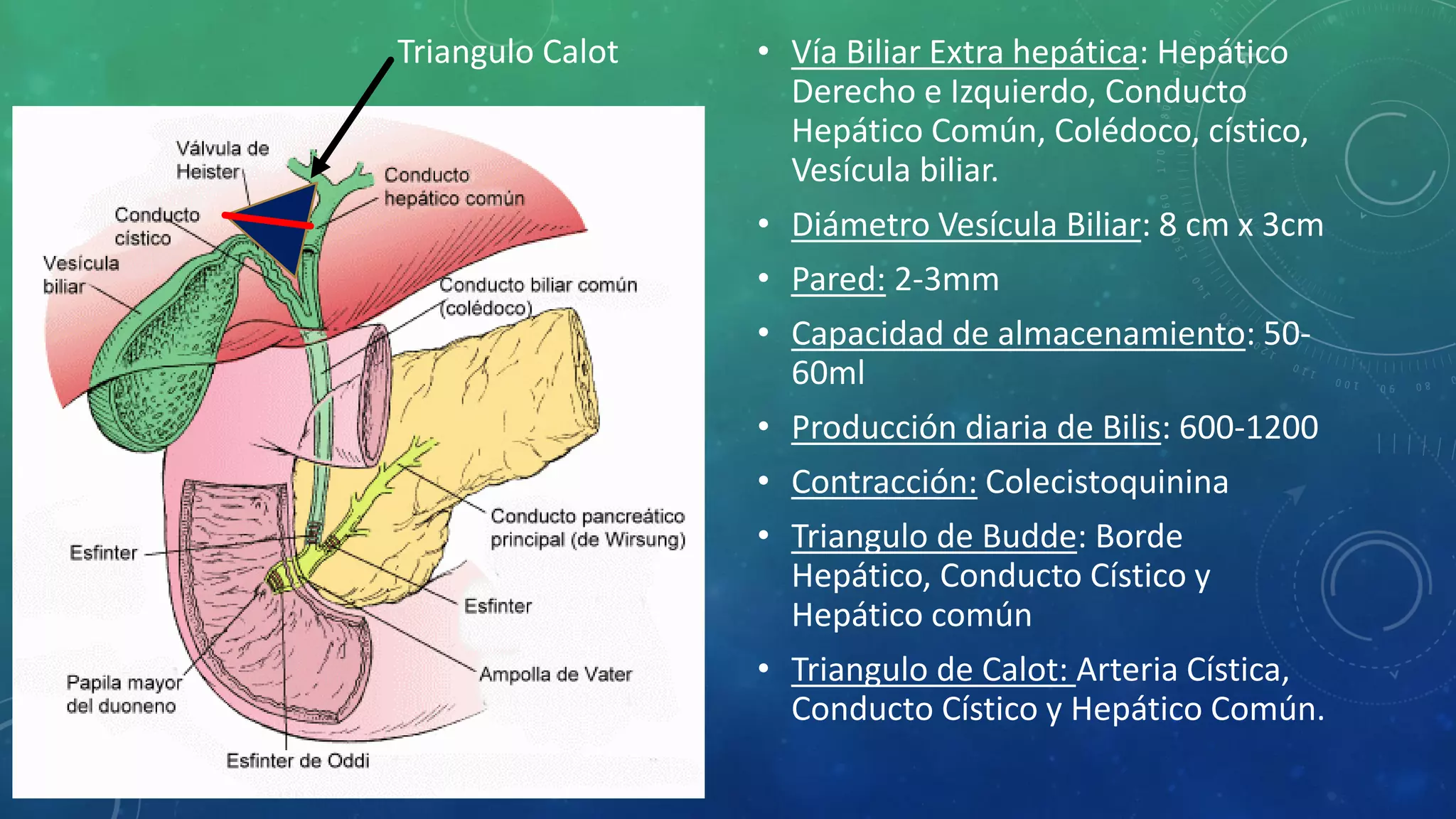 LITIASIS VESICULAR .pdf