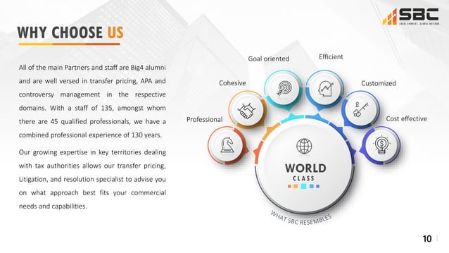 Litigation - Credentials.pdf