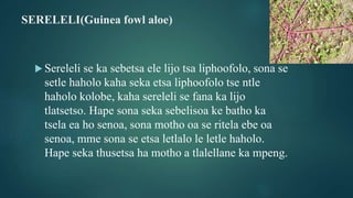 Litlama tsa Sesotho.pptx