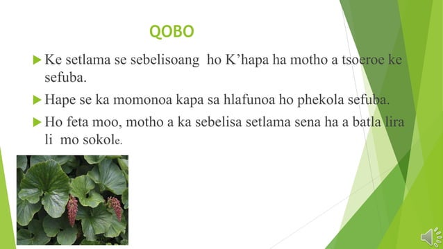LITLHARE TSA SESOTHO [Autosaved].pptx