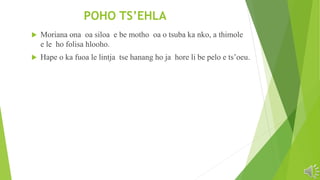 LITLHARE TSA SESOTHO [Autosaved].pptx