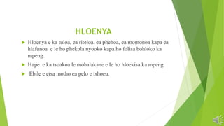 LITLHARE TSA SESOTHO [Autosaved].pptx