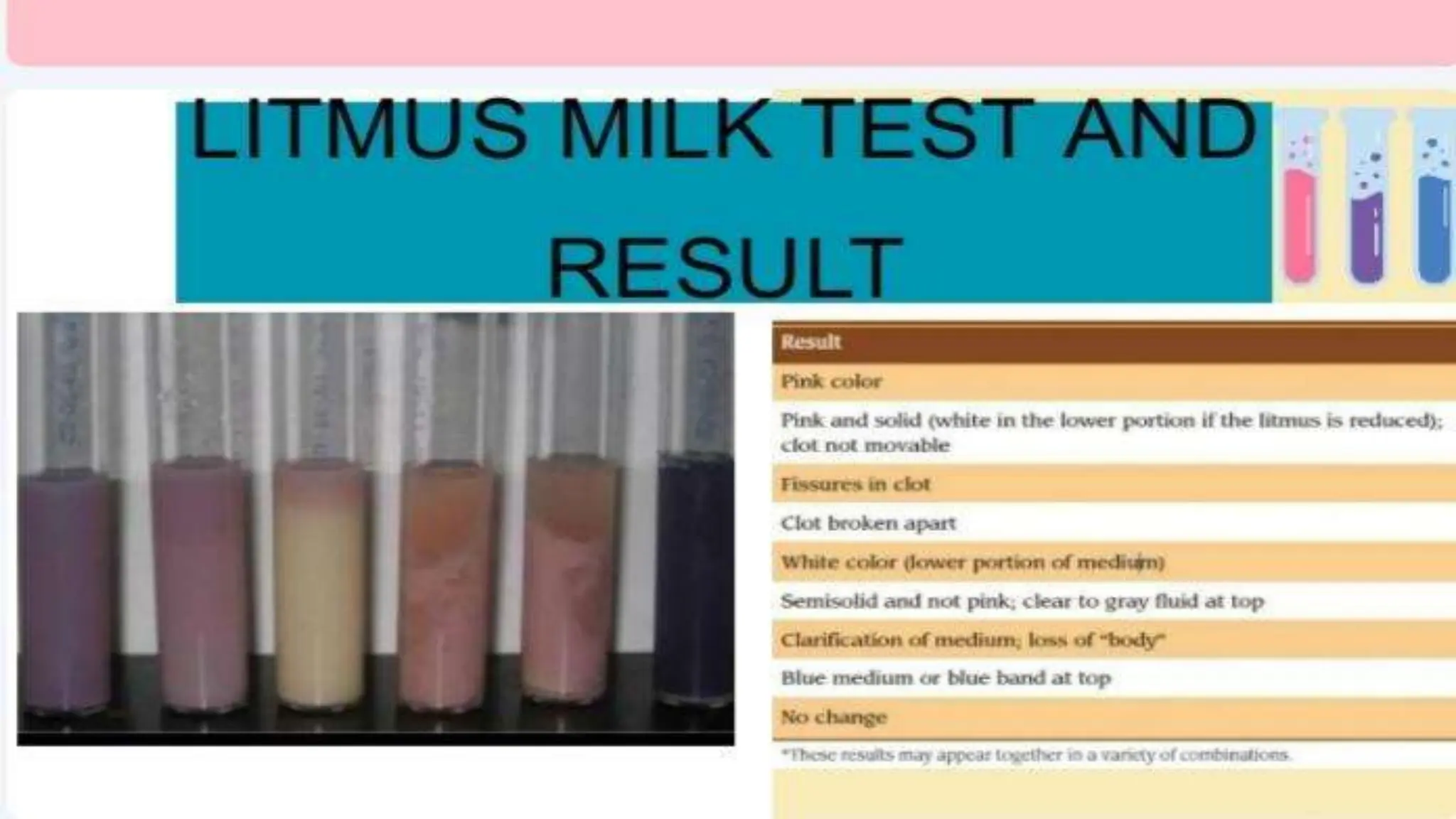 Litmus Milk.pptx