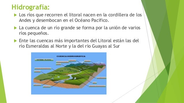 Litoral caracteristicas
