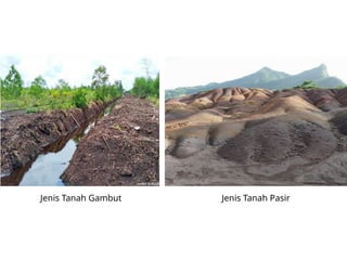 PPT Geografi X Bab 4 Tanah Pedosfer.pptx