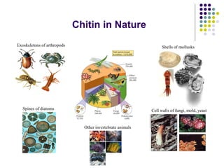 Litreview about Chitosan aerogels 1.ppt