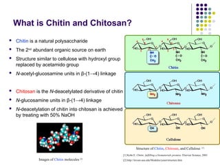 Litreview about Chitosan aerogels 1.ppt