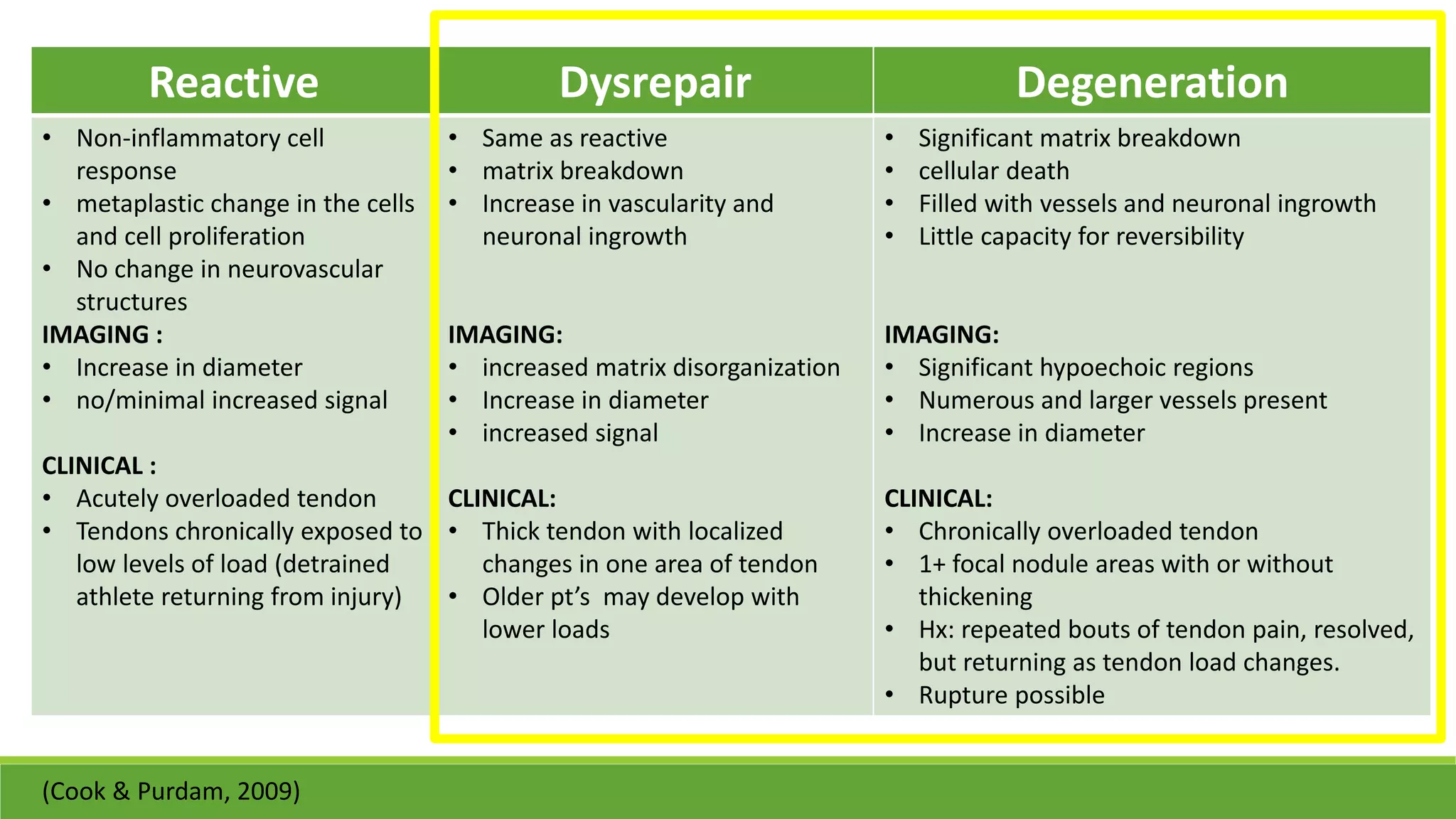 Review of Most Effective Tendon Loading Regimen for Treatment of Non ...