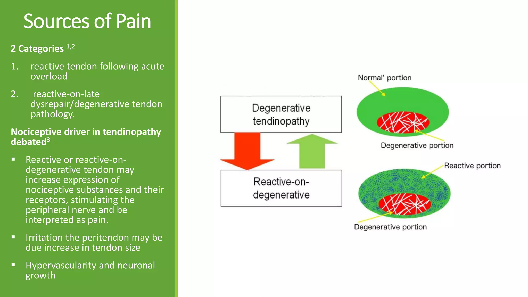 Review of Most Effective Tendon Loading Regimen for Treatment of Non ...