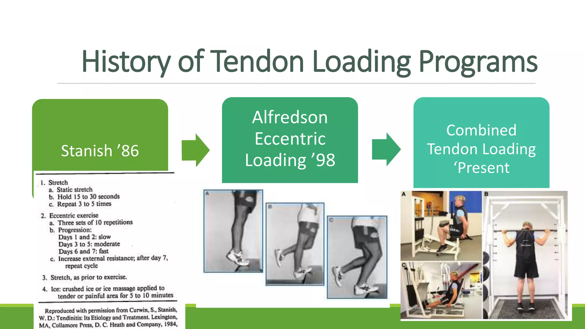 Review of Most Effective Tendon Loading Regimen for Treatment of Non ...