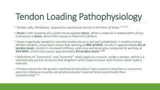 Review of Most Effective Tendon Loading Regimen for Treatment of Non ...