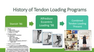 Review of Most Effective Tendon Loading Regimen for Treatment of Non ...