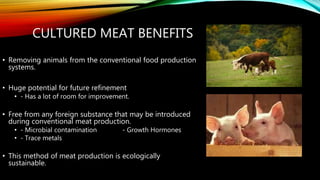 Is the future of commercial meat in vitro? | PPTX
