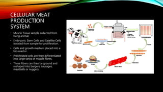 Is the future of commercial meat in vitro? | PPT