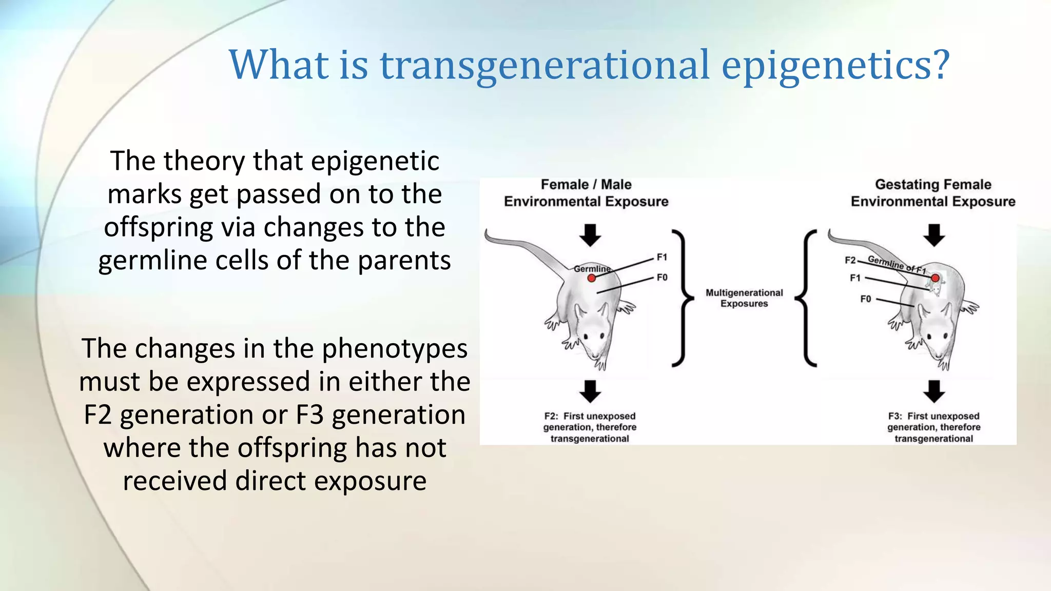 A review of the environmental influence on transgenerational epigenetics | PPTX | Genetics | Science