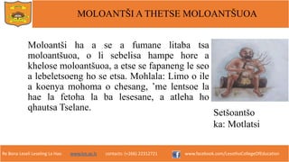 Lit'somo, lit'sobotsi tsa t'somo | PPTX