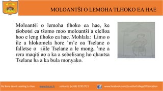 Lit'somo, lit'sobotsi tsa t'somo | PPTX