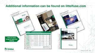Littelfuse Building Automation Capabilities: Smart Locks and Window ...