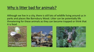 Litter | PPTX