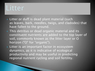 Litter decomposition and nutrient dynamics | PPTX