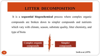 Litter dynamics in tropical plantations | PPTX | Gardening | Home & Garden