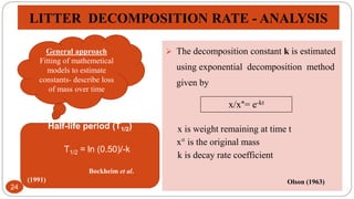 Litter dynamics in tropical plantations | PPTX