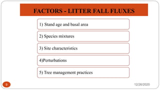 Litter dynamics in tropical plantations | PPTX