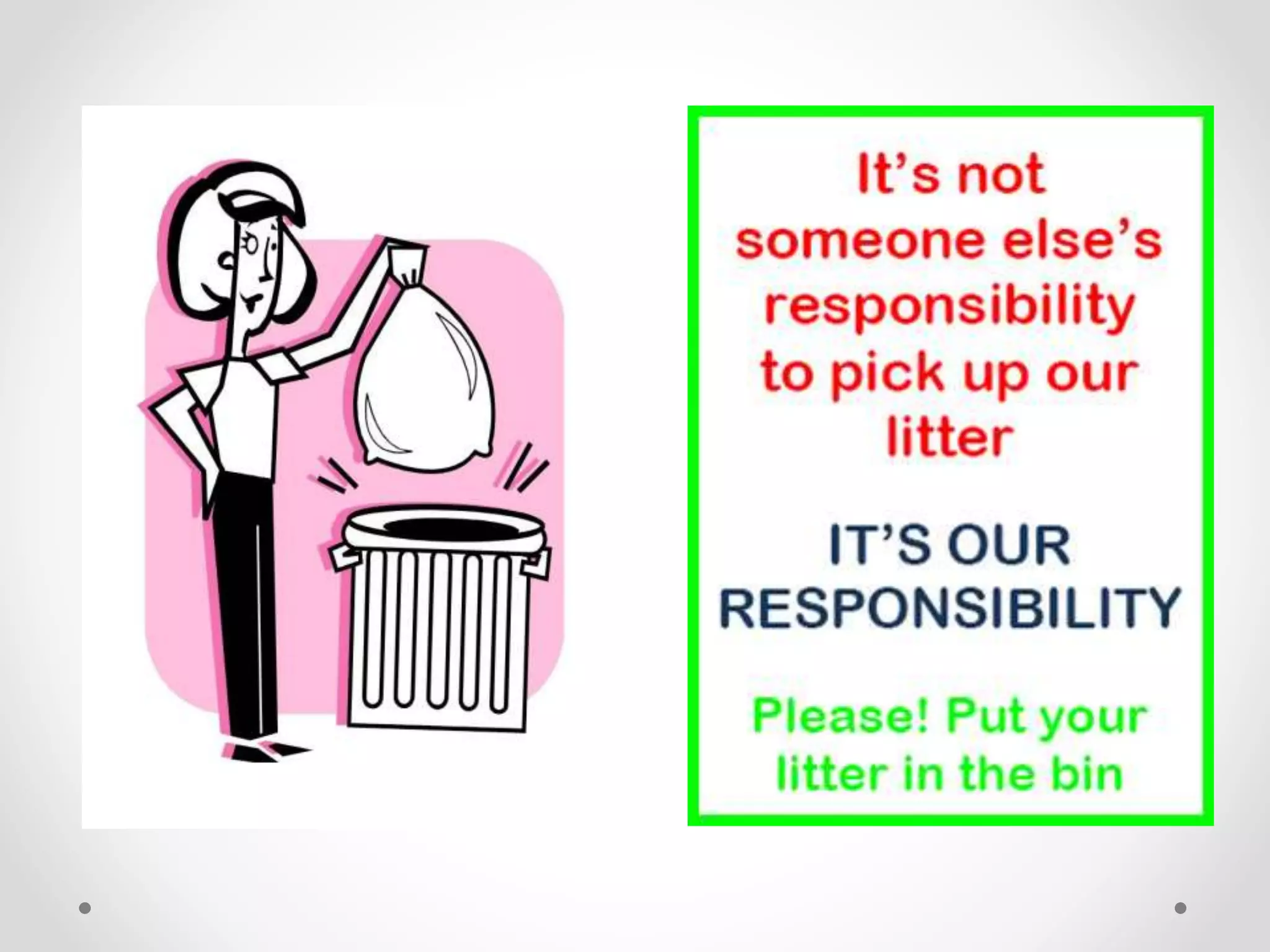 Litter Pollution | PPTX