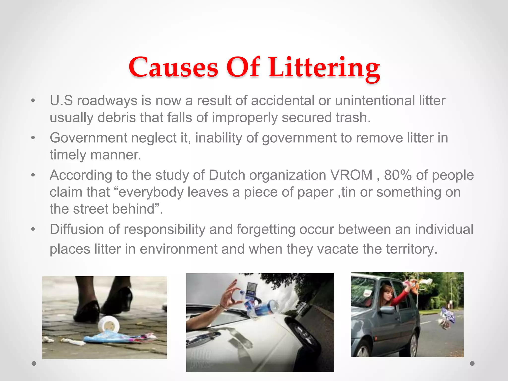 Litter Pollution | PPTX