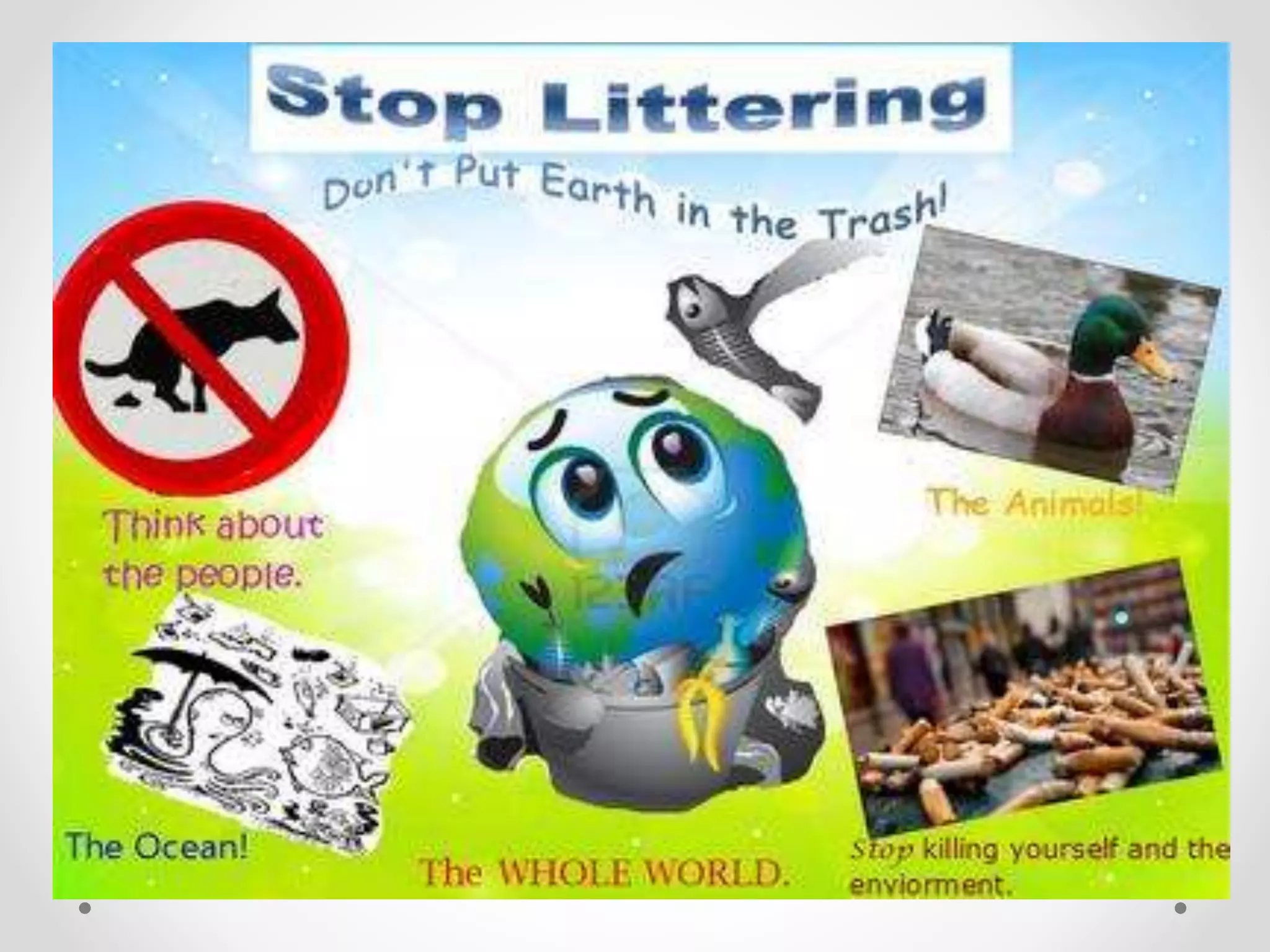 Litter Pollution | PPTX