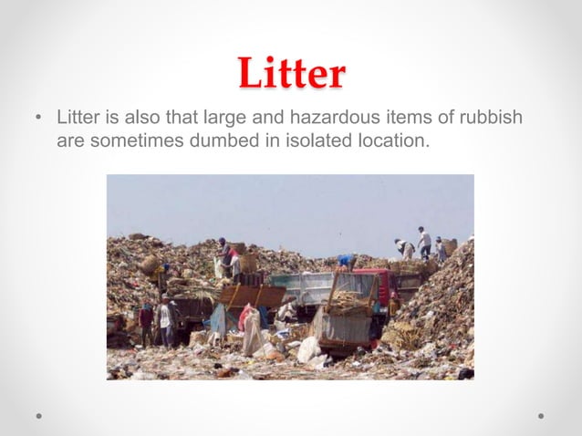 Litter Pollution | PPTX
